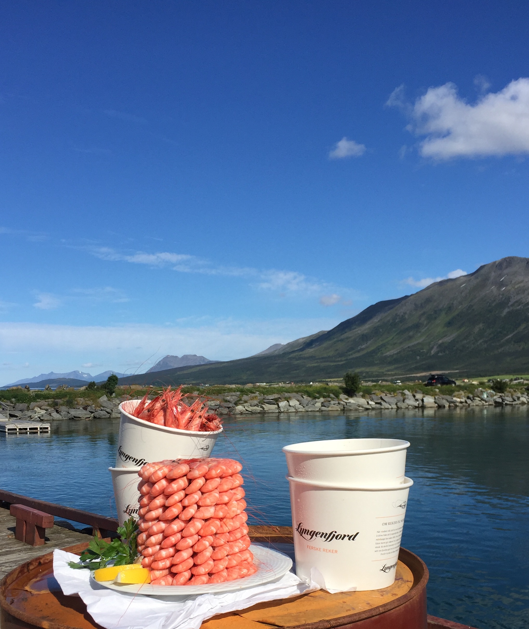 Lokalmat - Lyngen Reker AS